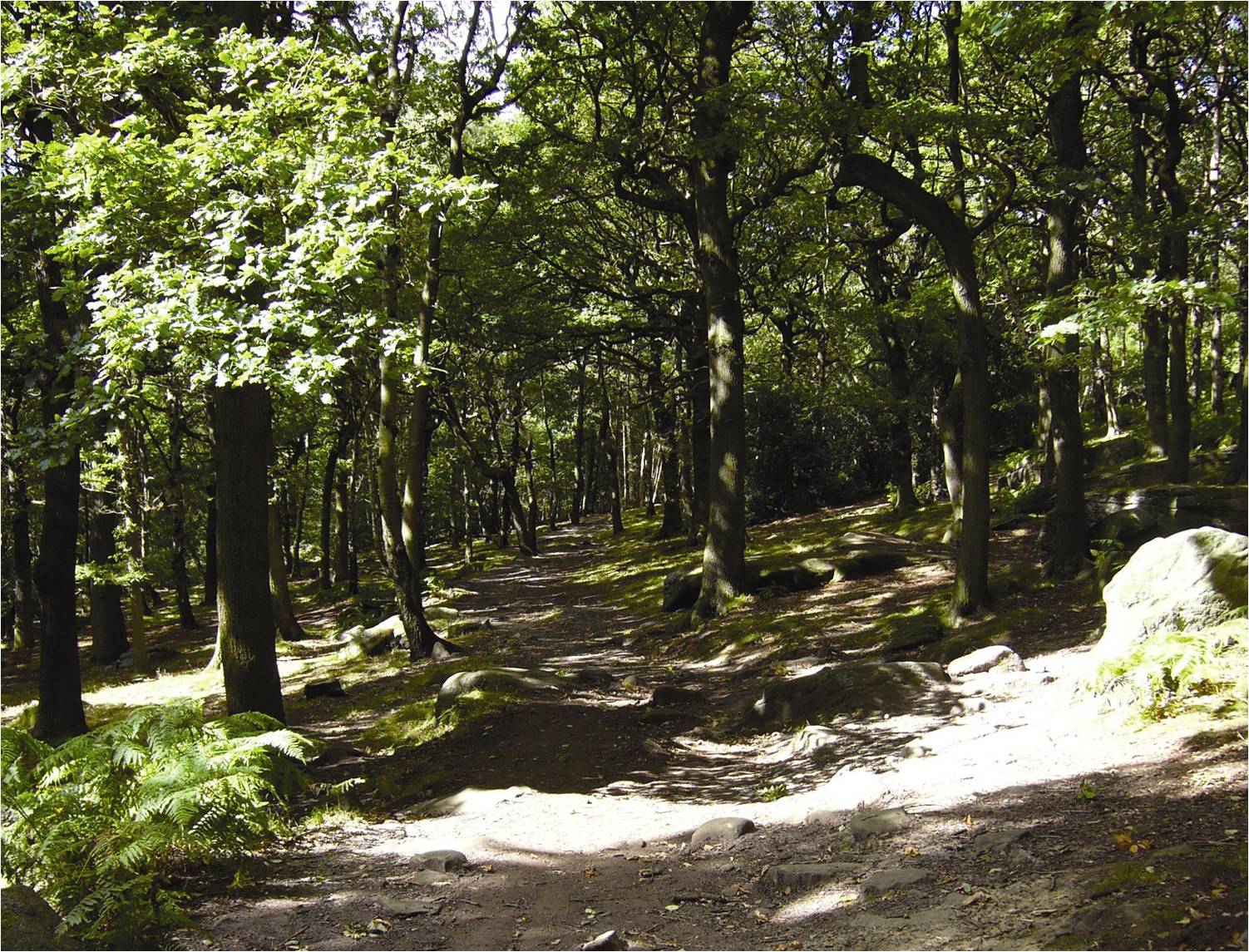 A Dales High Way Walk - Saltaire to Ilkley - It's On In Bradford